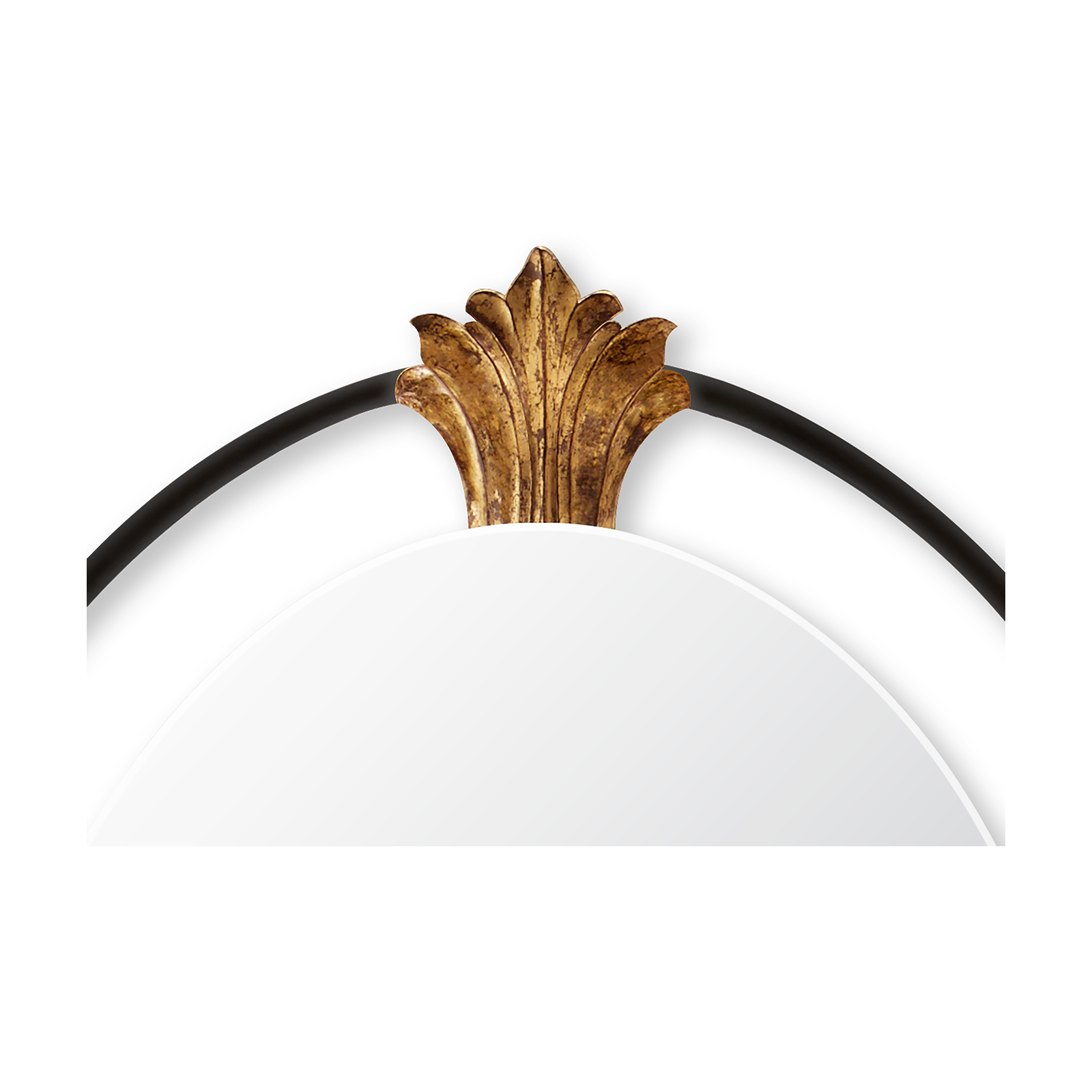 Acacia | Christopher Guy