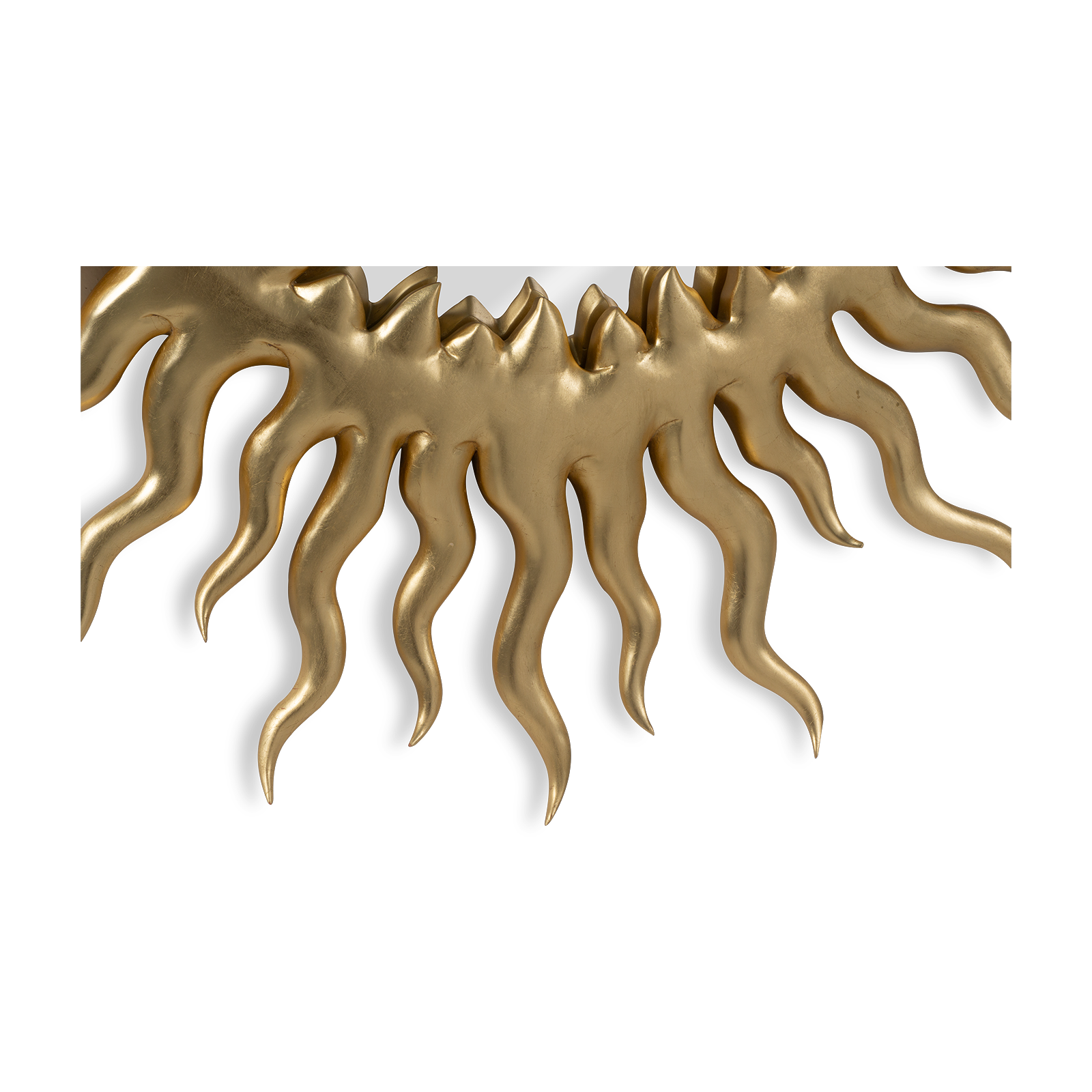 Helianthus | Christopher Guy