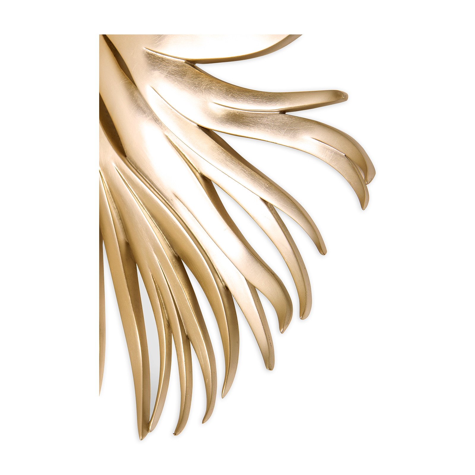 Fronda | Christopher Guy