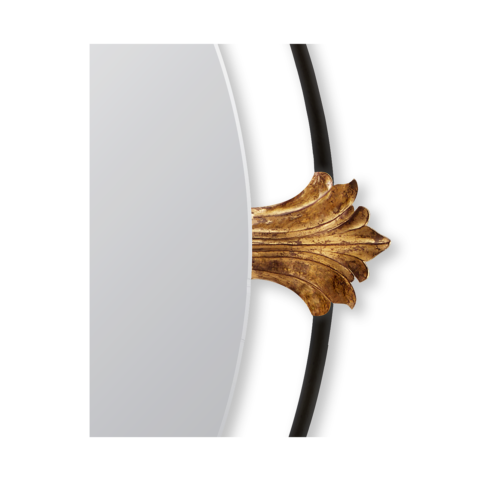 Acacia | Christopher Guy