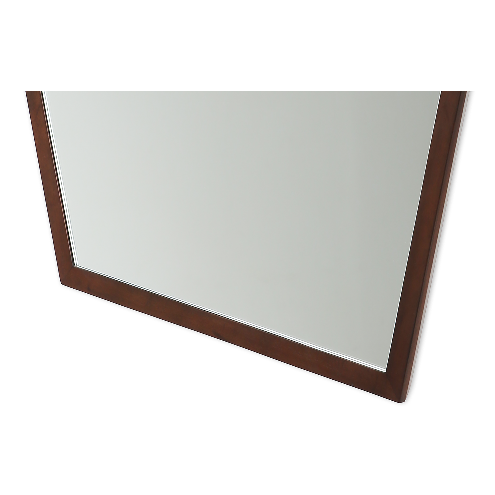 Zeno | Christopher Guy