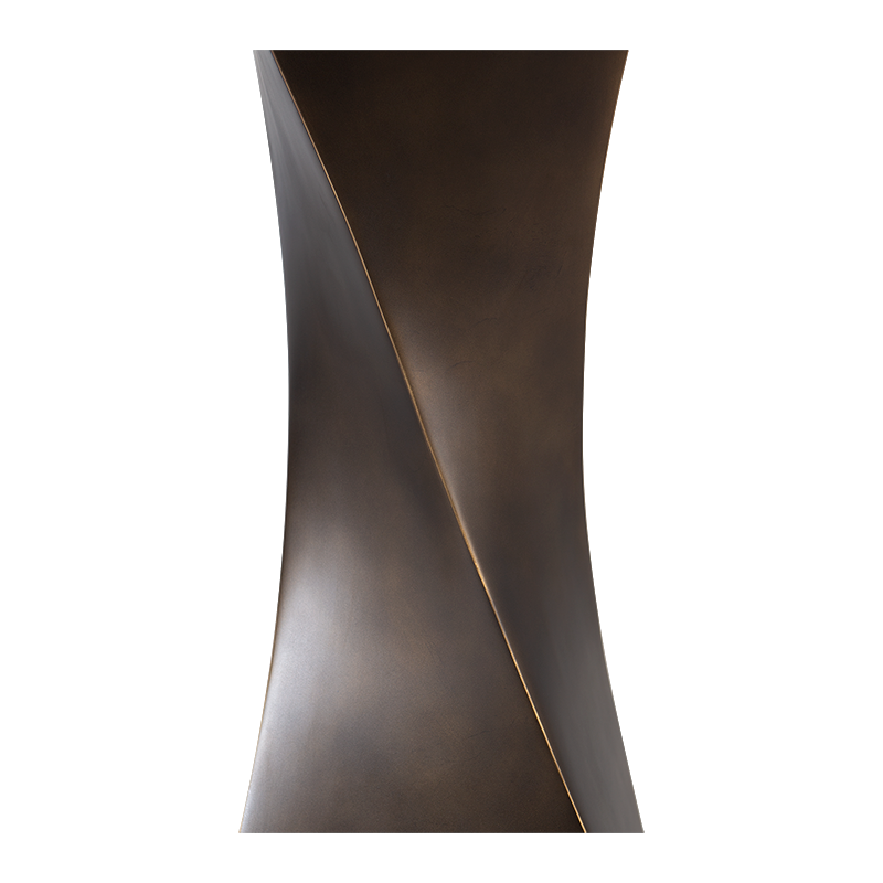 Torsion | Christopher Guy