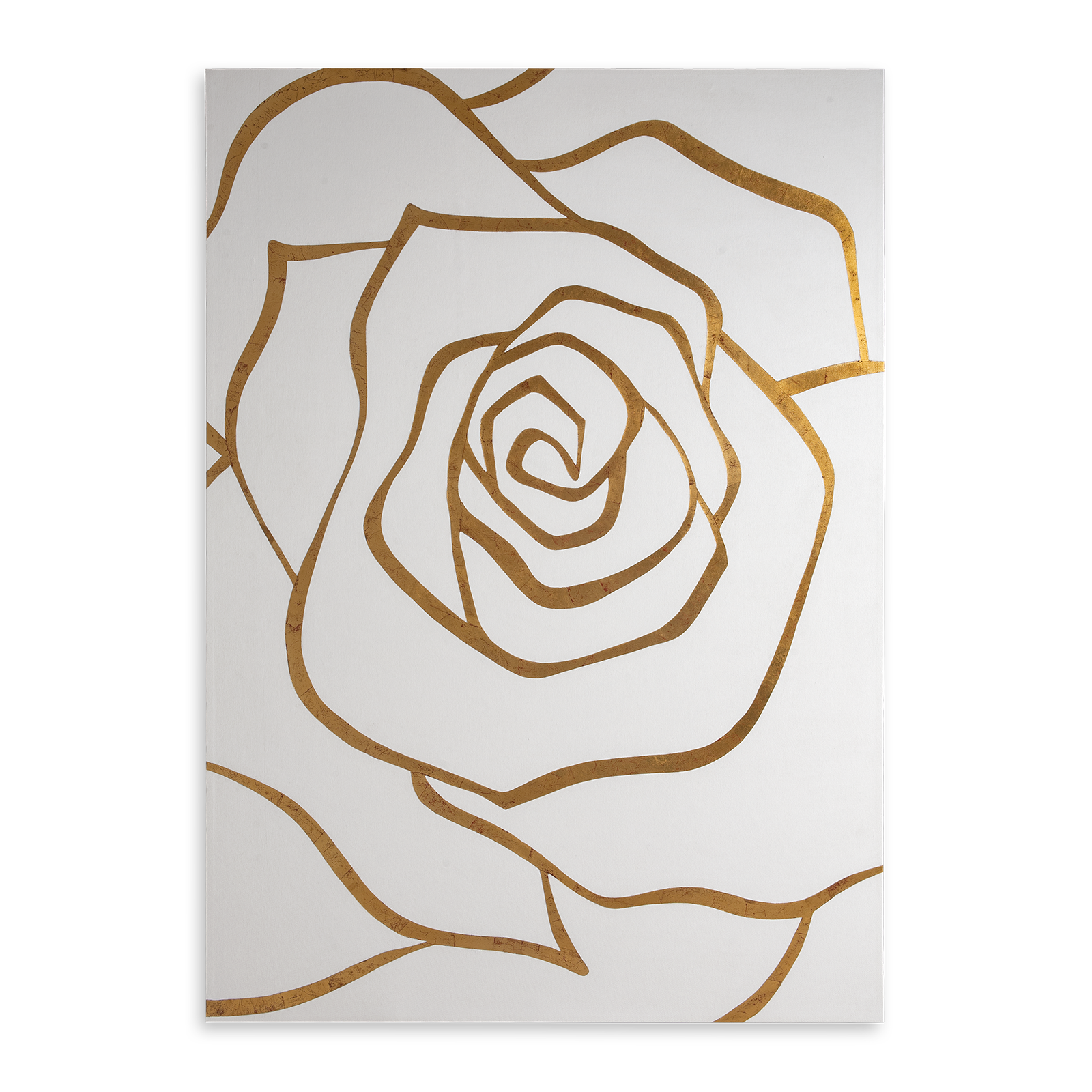 Rosa | Christopher Guy